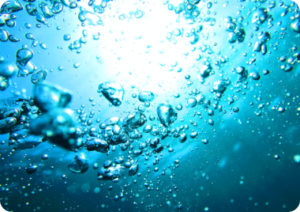 Cutting-edge & Unique products -現行 - PMAC USA